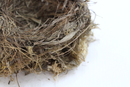 Art School Barcelona - Metàfora - metafora-studio-arts.org